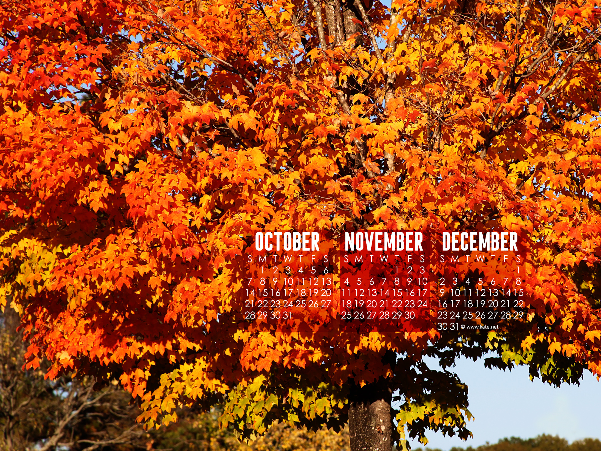 Calendar Wallpapers, Desktop Wallpapers by Kate.net